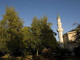 geneva mosque – The Muslim Times