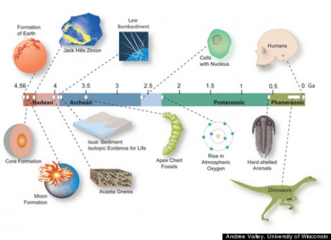 EARTH-TIMELINE and evolution – The Muslim Times