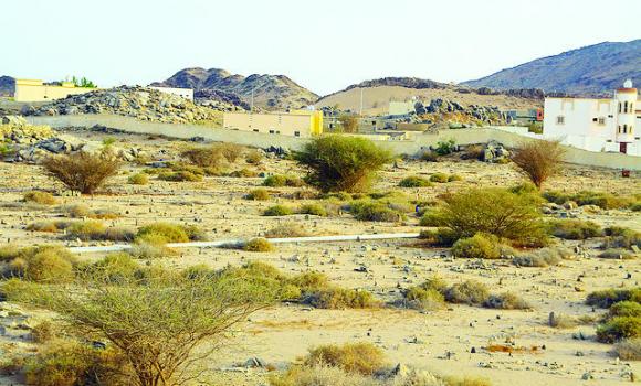 badr – The Muslim Times