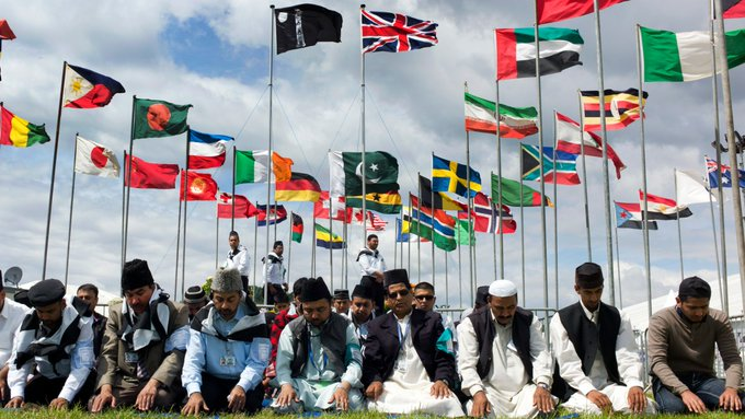 Beyond the flag: Rethinking what true loyalty means – The Muslim Times